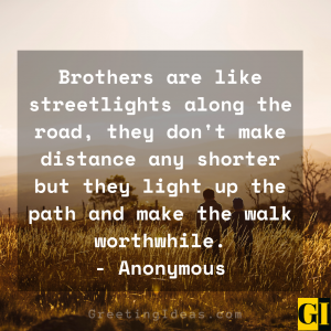 25 Best Having an Older Brother Quotes and Sayings