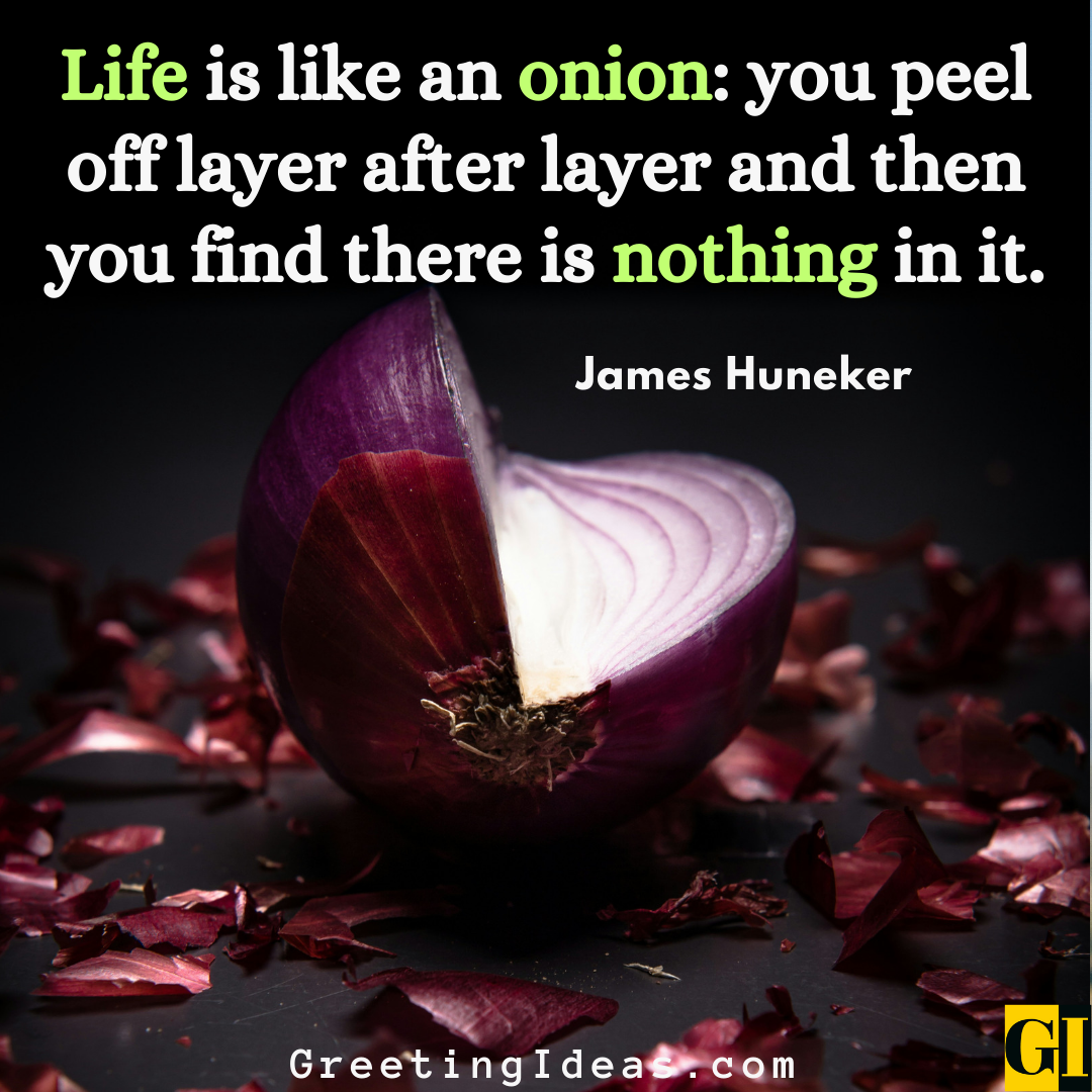 25 Famous Onion Quotes Sayings about the Depth of Life