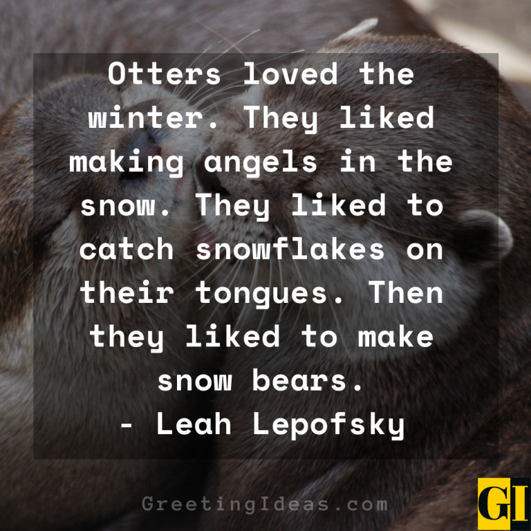 30 Cute and Lovable Otter Quotes and Sayings