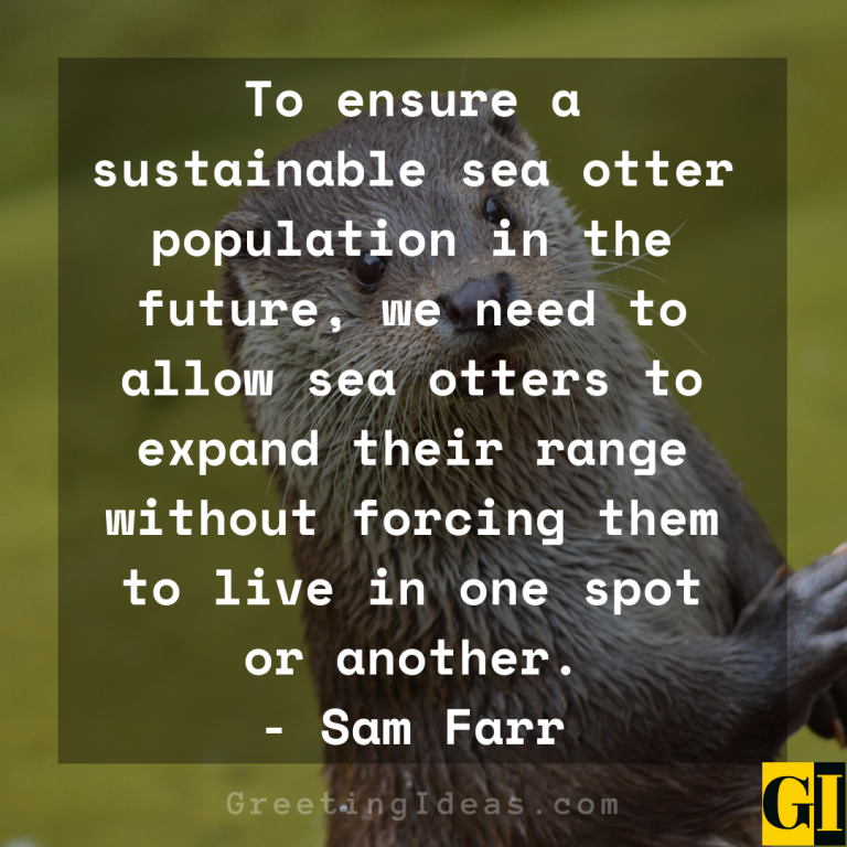 30 Cute and Lovable Otter Quotes and Sayings