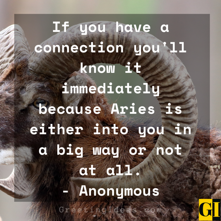 50 Best and Famous Aries Quotes and Sayings