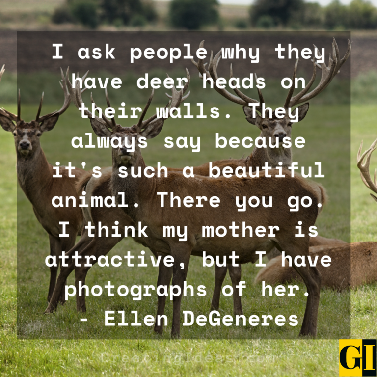 15 Wise and Inspiring Deer Quotes and Sayings
