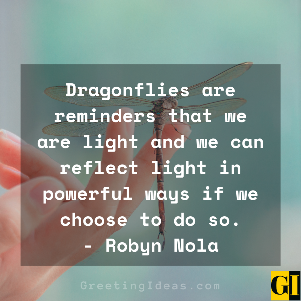 25 Inspiring Dragonfly Quotes and Saying for New Beginning