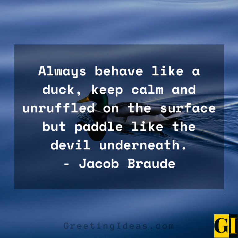 30 Inspiring Duck Quotes to Stay Calm Amidst the Storm