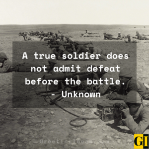 50 Stop War Quotes and Sayings to Live in Harmony