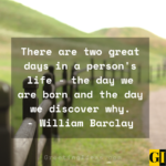 25 Best Why Quotes and Sayings to Understand Life