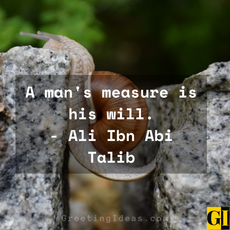 35 Inspiring Will Quotes and Sayings on Human Spirit