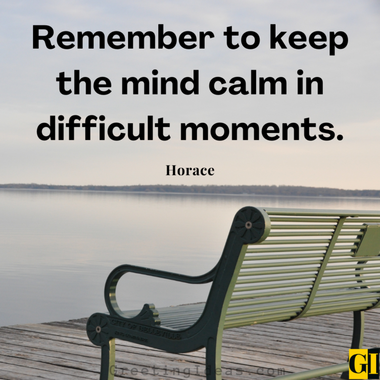 70 Powerful Stay Calm Quotes During Persistent Failures