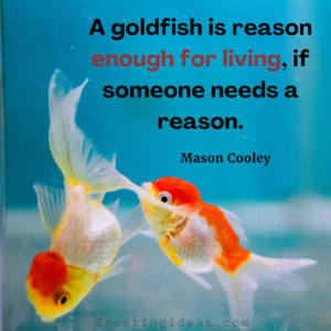 30 Funny Goldfish Quotes Sayings On Personal Growth