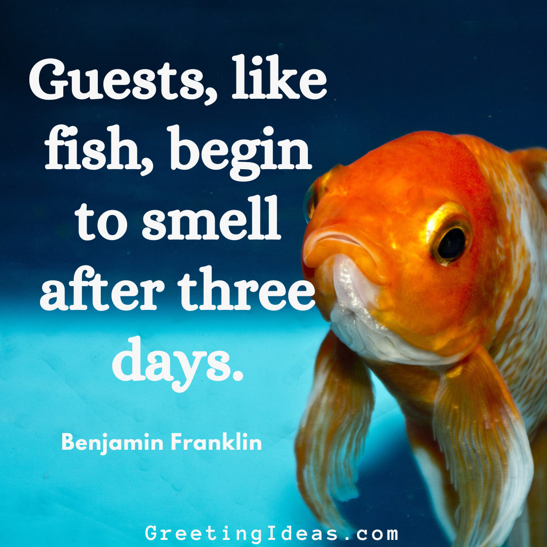 30 Funny Wedding Guest Quotes Sayings And Their Nuisance