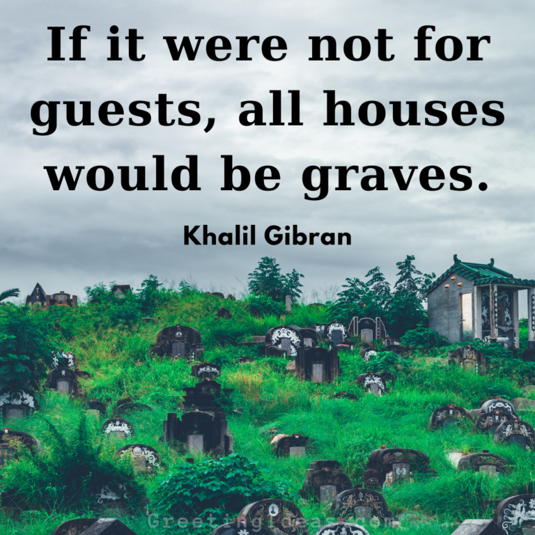 30 Funny Wedding Guest Quotes Sayings And Their Nuisance