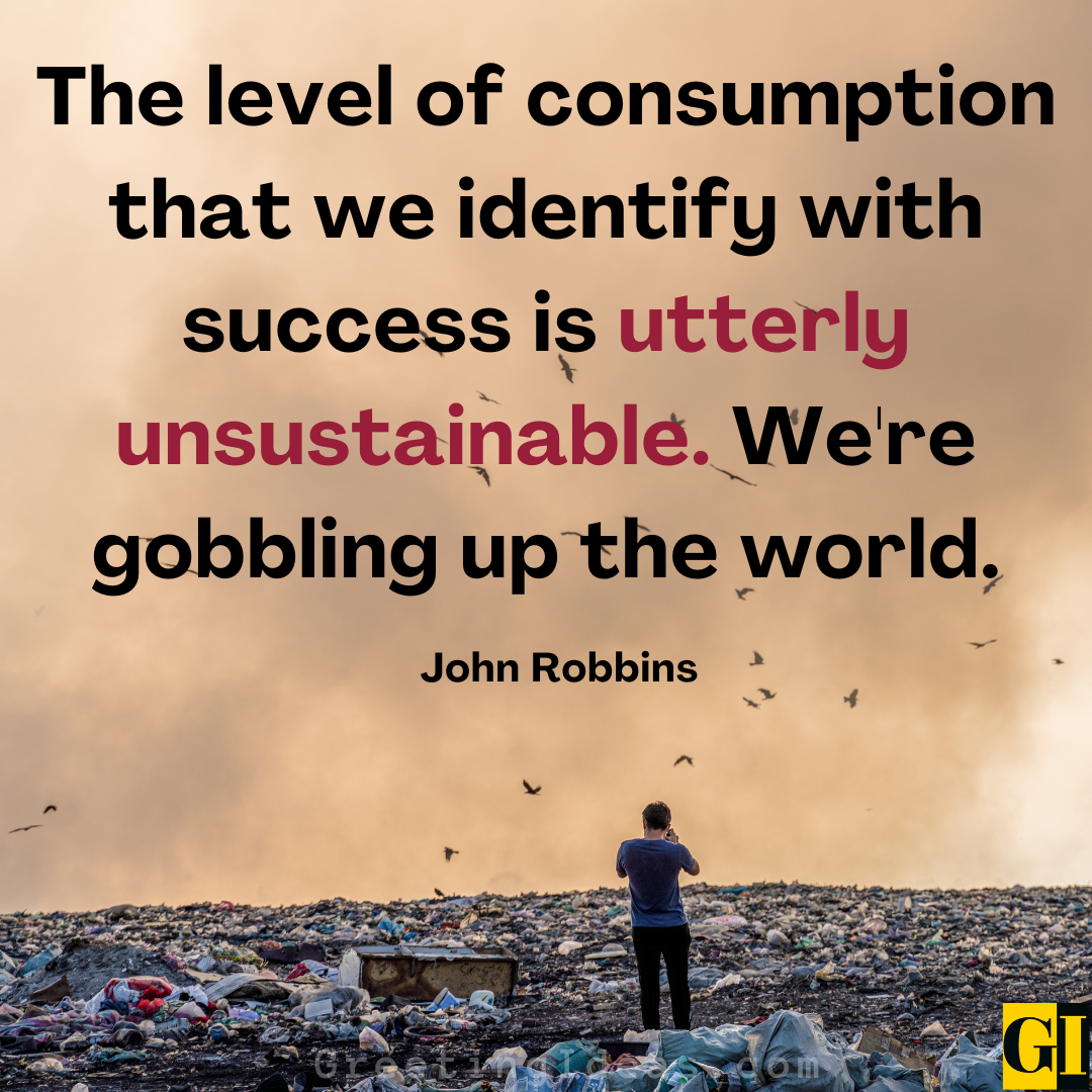 50 Mindful Consumption Quotes For Responsible Living