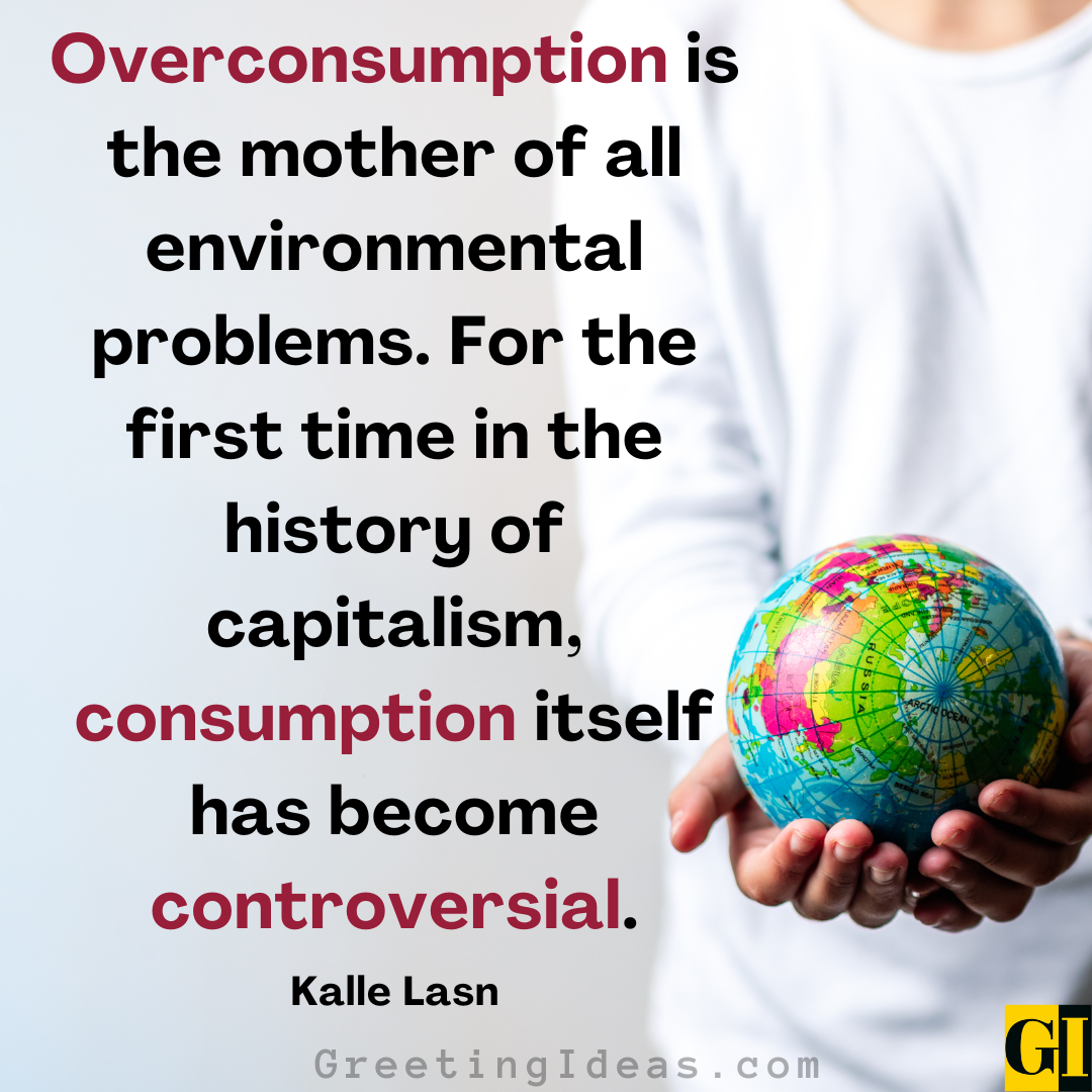 50 Mindful Consumption Quotes For Responsible Living