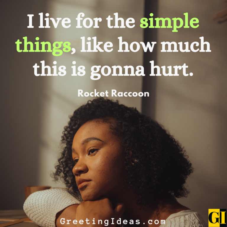 45 Greatest Raccoon Quotes Including MCU Superhero Rocket