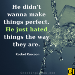 45 Greatest Raccoon Quotes Including MCU Superhero Rocket