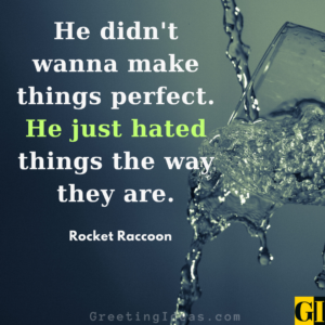 45 Greatest Raccoon Quotes Including MCU Superhero Rocket