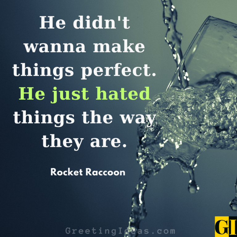 45 Greatest Raccoon Quotes Including MCU Superhero Rocket