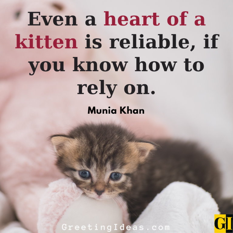 60 Adorable Kitten Quotes Sayings For Feline Lovers