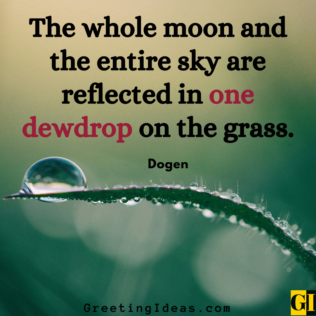 42 Essential Zen Buddhist Quotes for Inner Peace