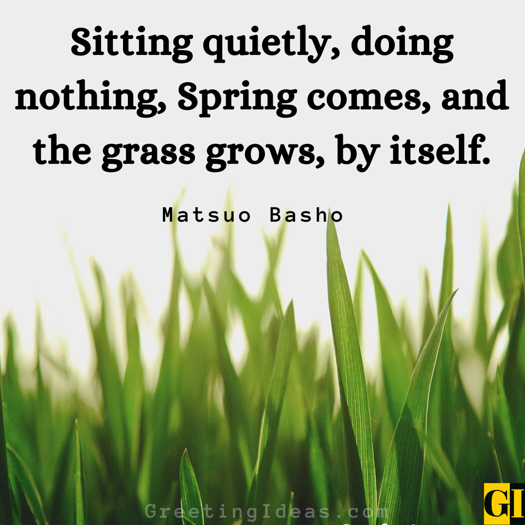 42 Essential Zen Buddhist Quotes for Inner Peace