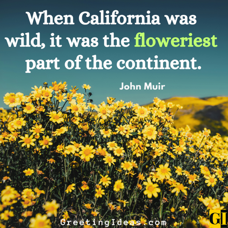 55 Famous California Quotes Sayings To Cherish