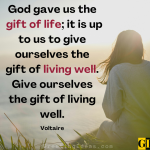 60 Famous Celebrating Life Quotes To Live Worry Free