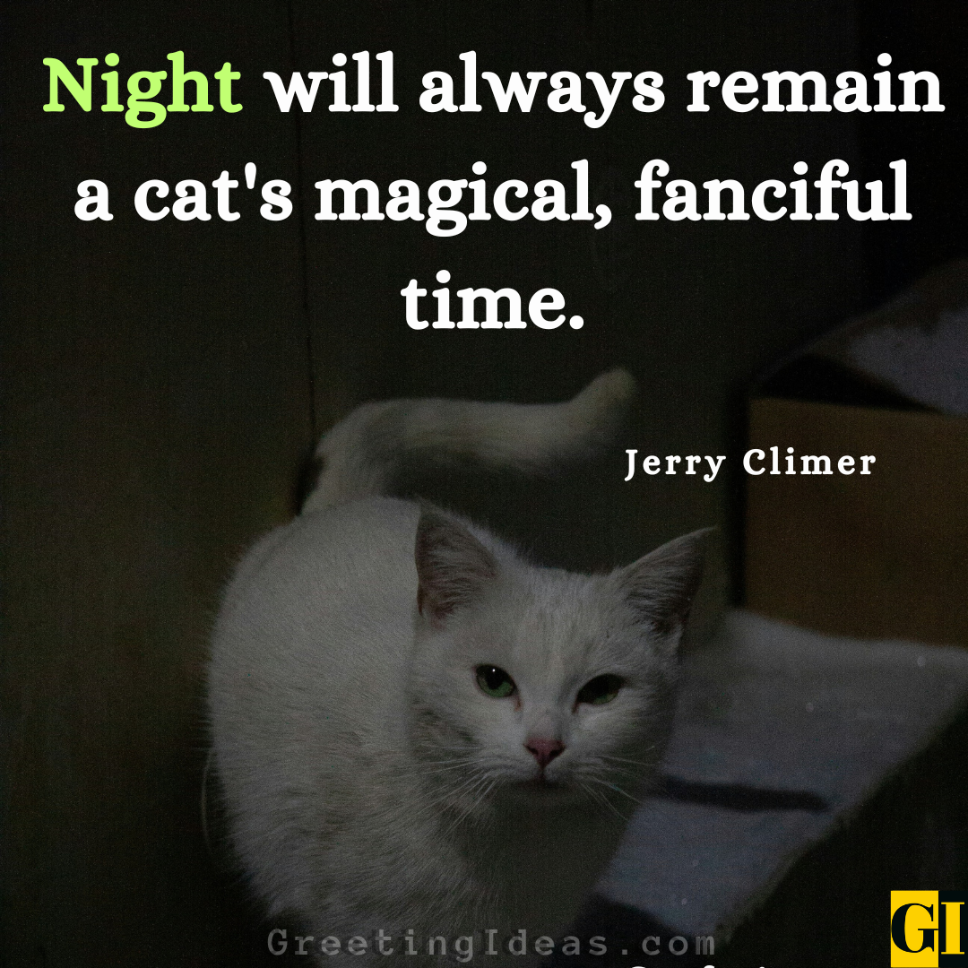 90 Adorable Cat Quotes Sayings For Feline Lovers