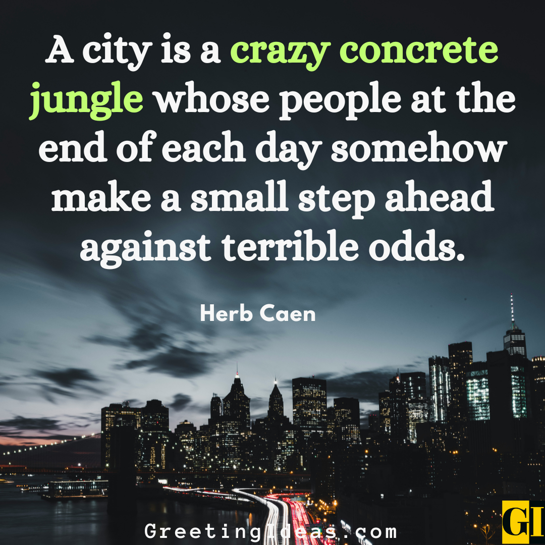 30 Deep Concrete Quotes Sayings About Life's Rigidity
