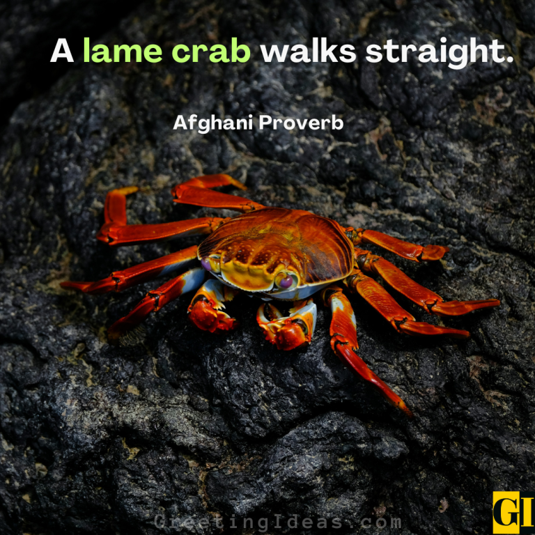 30 Best Crab Quotes Sayings To Beat The Lame Mentality