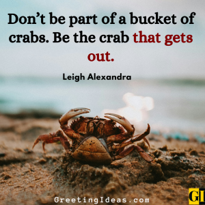 30 Best Crab Quotes Sayings To Beat The Lame Mentality