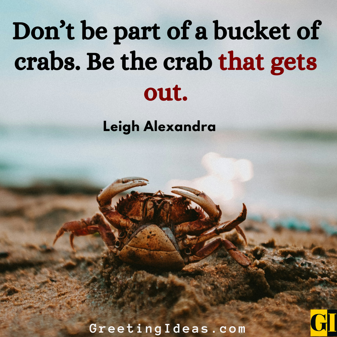 30 Best Crab Quotes Sayings To Beat The Lame Mentality