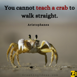 30 Best Crab Quotes Sayings To Beat The Lame Mentality
