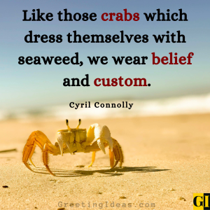 30 Best Crab Quotes Sayings To Beat The Lame Mentality