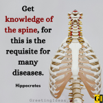 65 Inspiring Chiropractic Quotes For Holistic Health