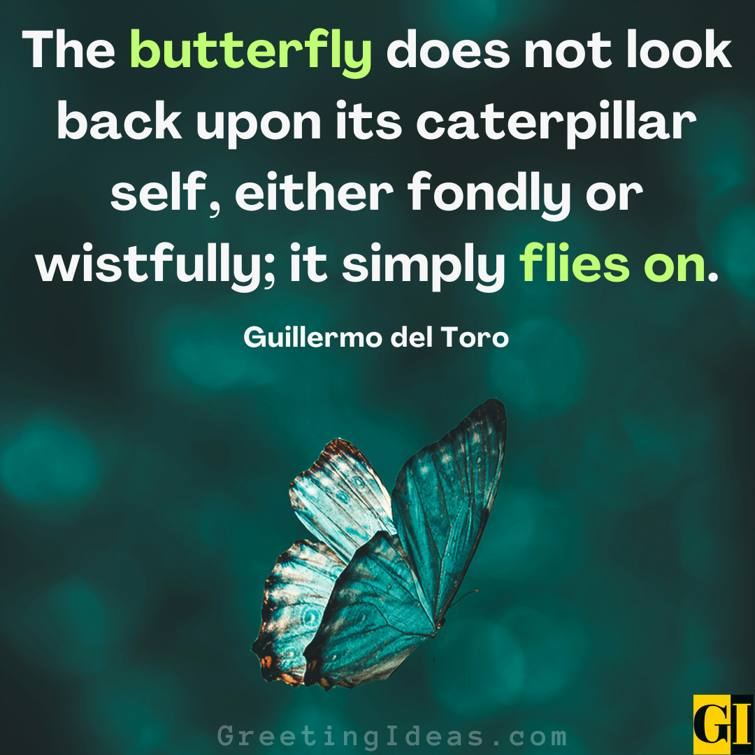 60 Inspiring Caterpillar Quotes For Self Transformation