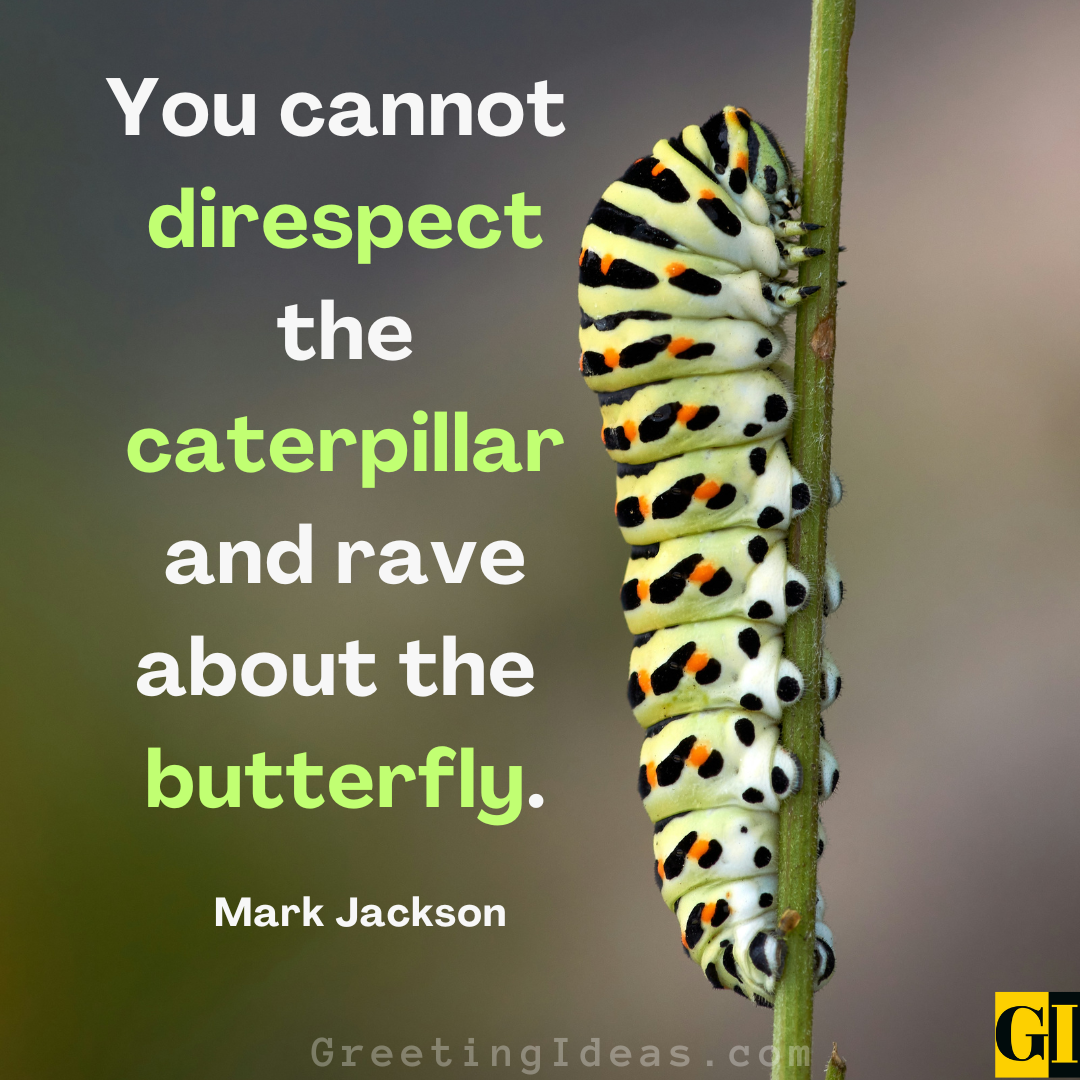 60 Inspiring Caterpillar Quotes For Self Transformation