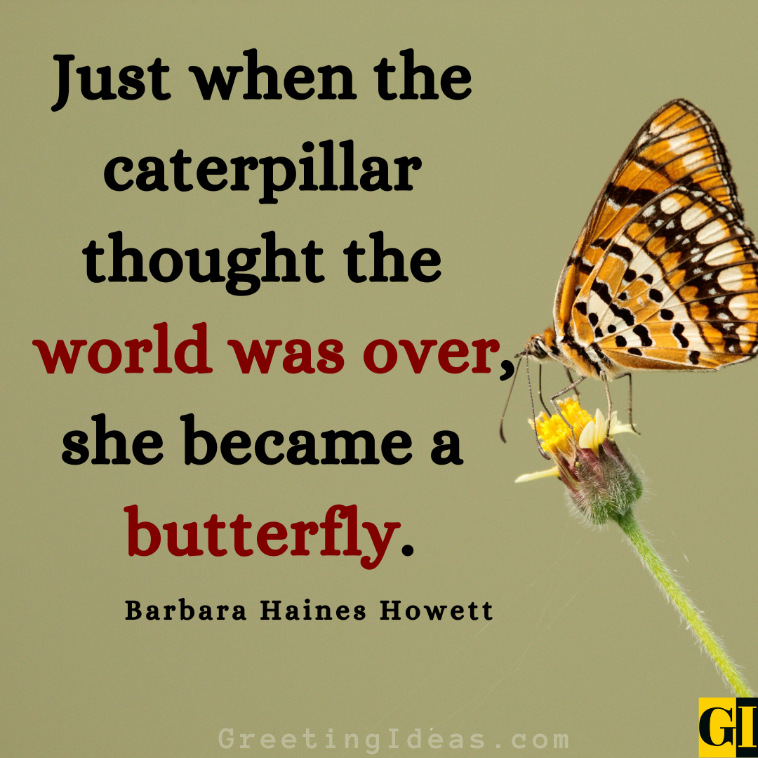 60 Inspiring Caterpillar Quotes For Self Transformation