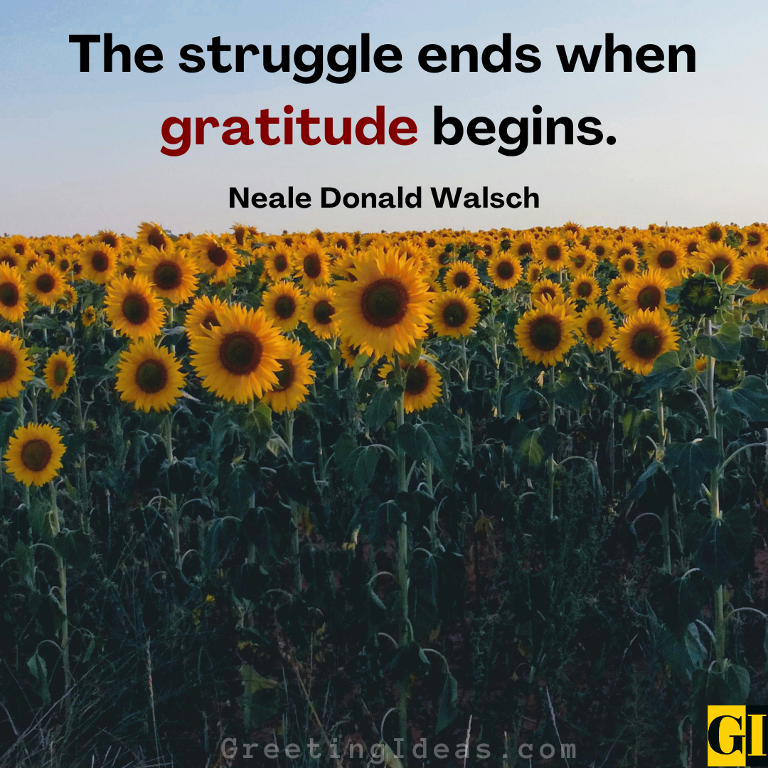 60 Positive Cheerful Quotes Sayings For Mental Wellness