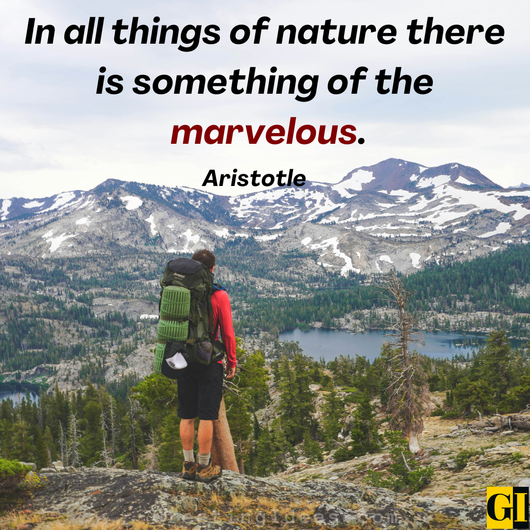 50 Happy Camping Quotes With Friends For Lasting memories