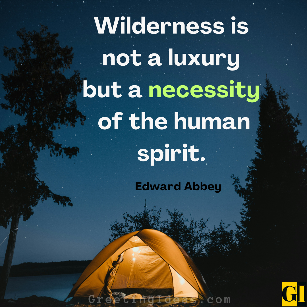 50 Happy Camping Quotes With Friends For Lasting memories