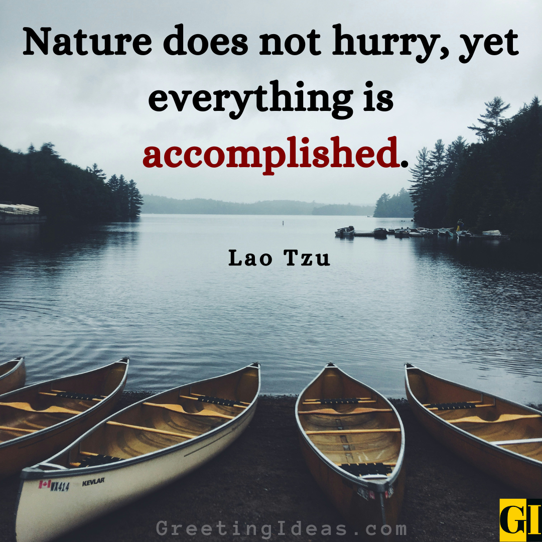 50 Happy Camping Quotes With Friends For Lasting memories