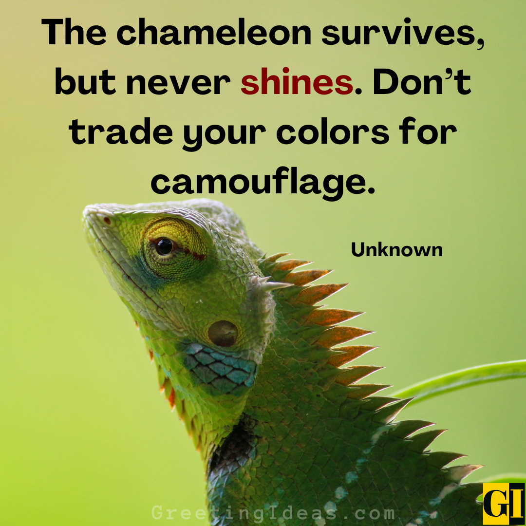 45 Interesting Chameleon Quotes On Inner Fakeness