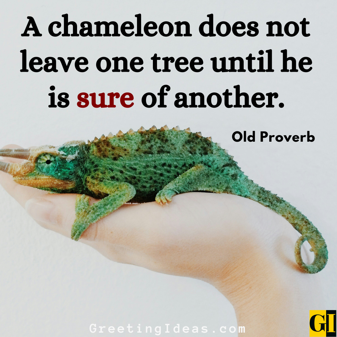 45 Interesting Chameleon Quotes On Inner Fakeness
