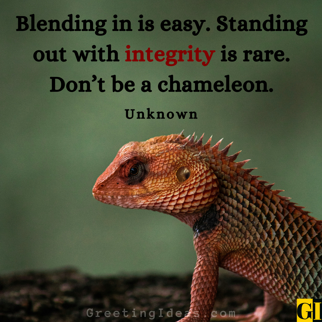 45 Interesting Chameleon Quotes On Inner Fakeness