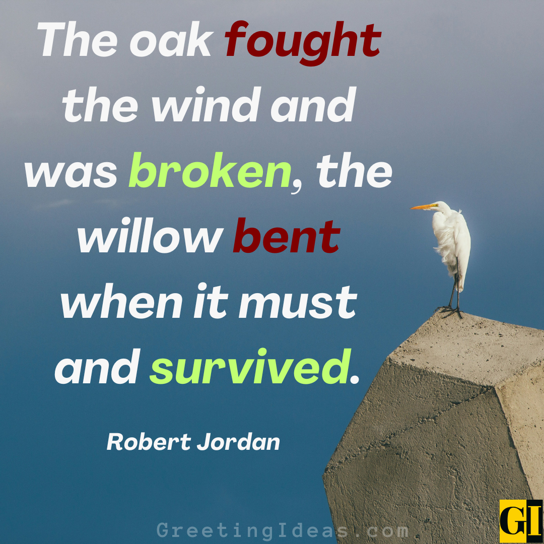 60 Adversity Motivational Quotes To Tackle Failure