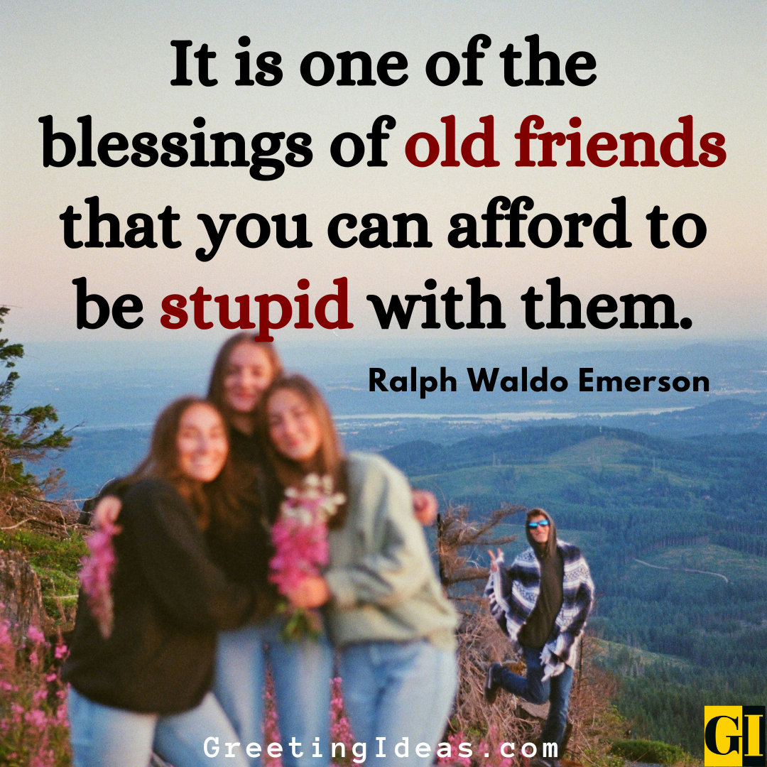 70 Funny Crazy Friends Quotes To Laugh Your Heart Out