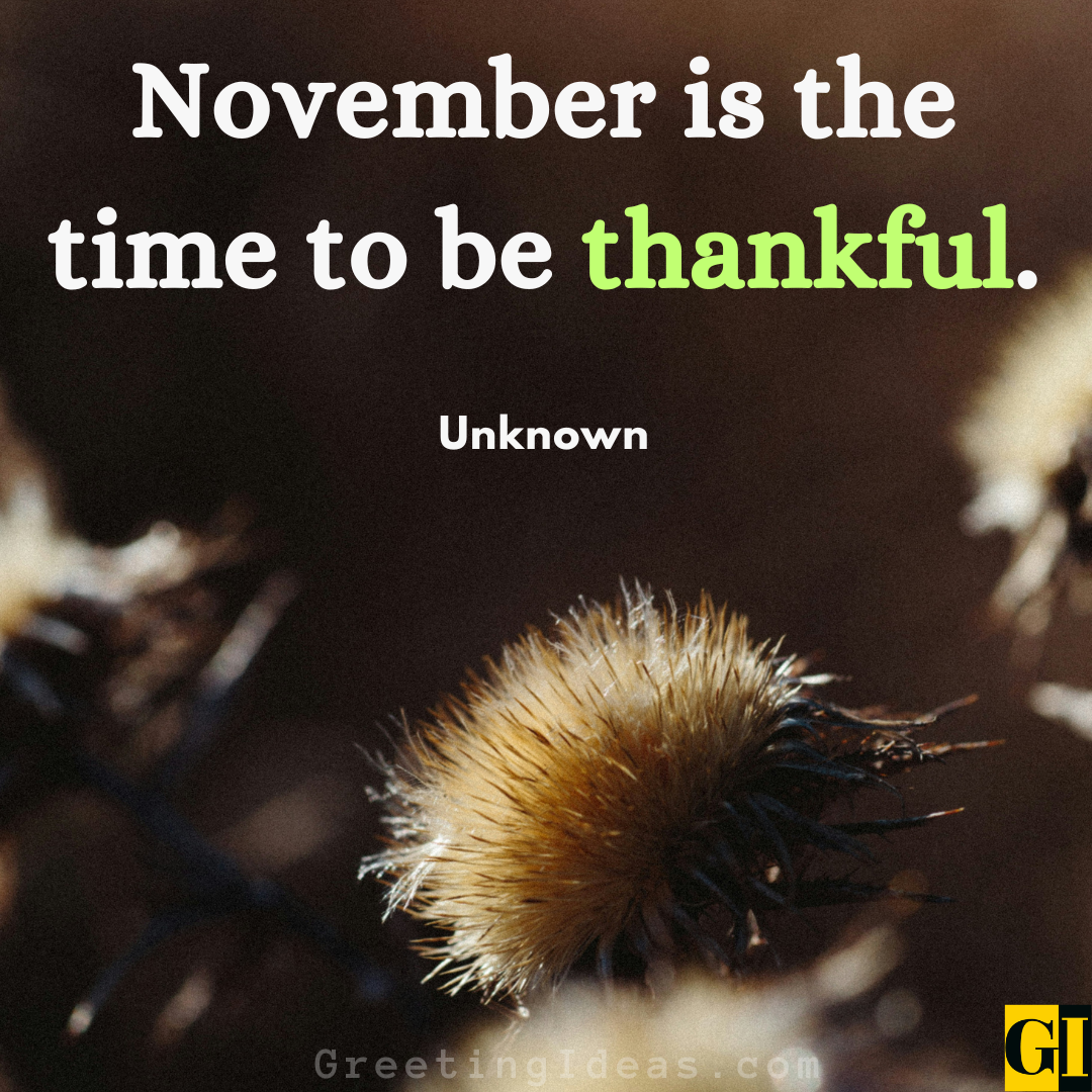 78 Inspiring November Quotes for Gratitude and Fresh Starts