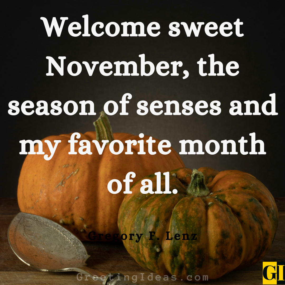 78 Inspiring November Quotes for Gratitude and Fresh Starts